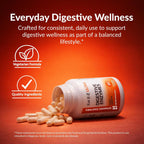 multi-enzymes for digestive support
