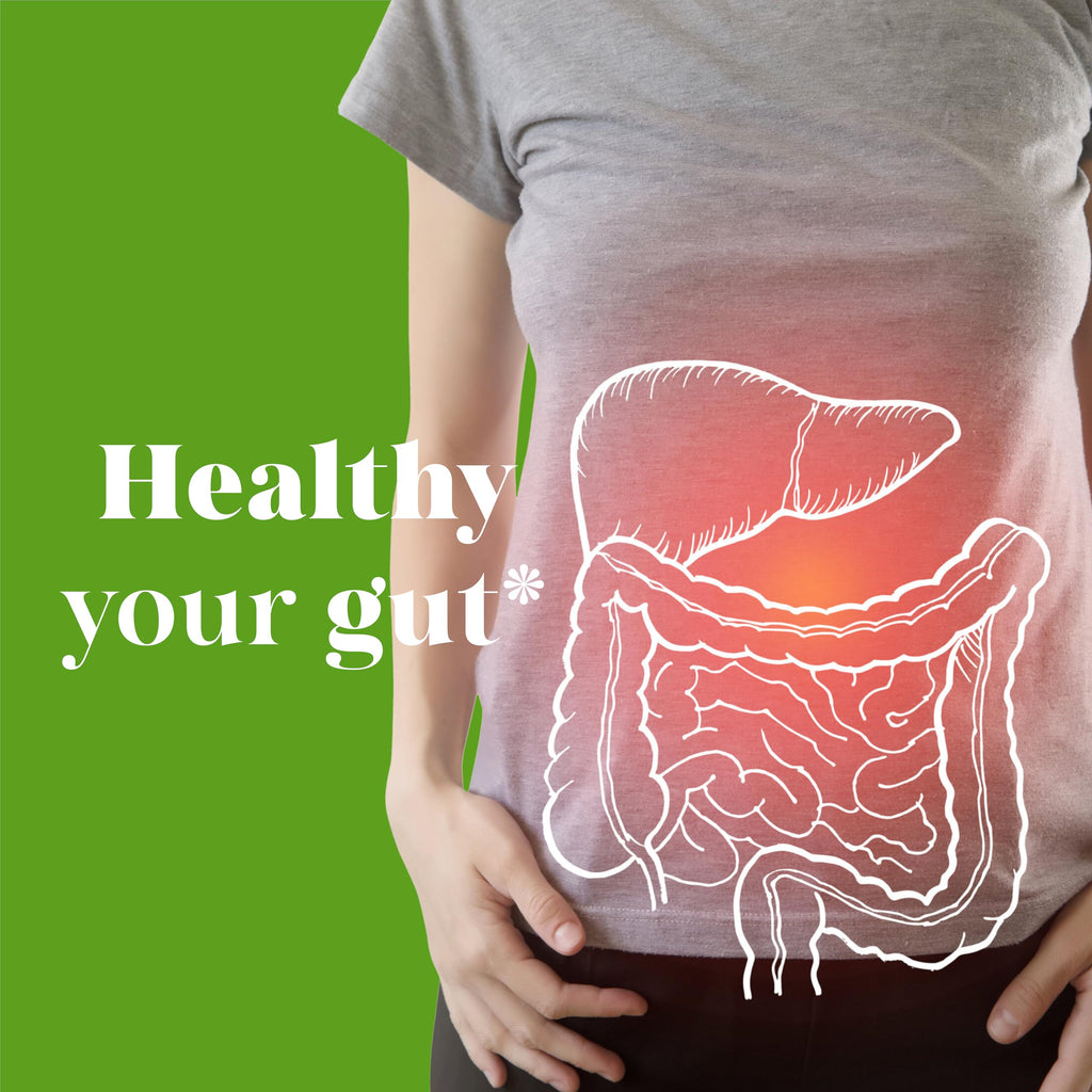 multi-enzymes to reduce bloating