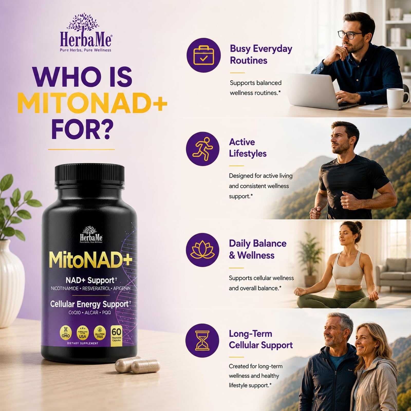 Multi-pathway formula for cellular health