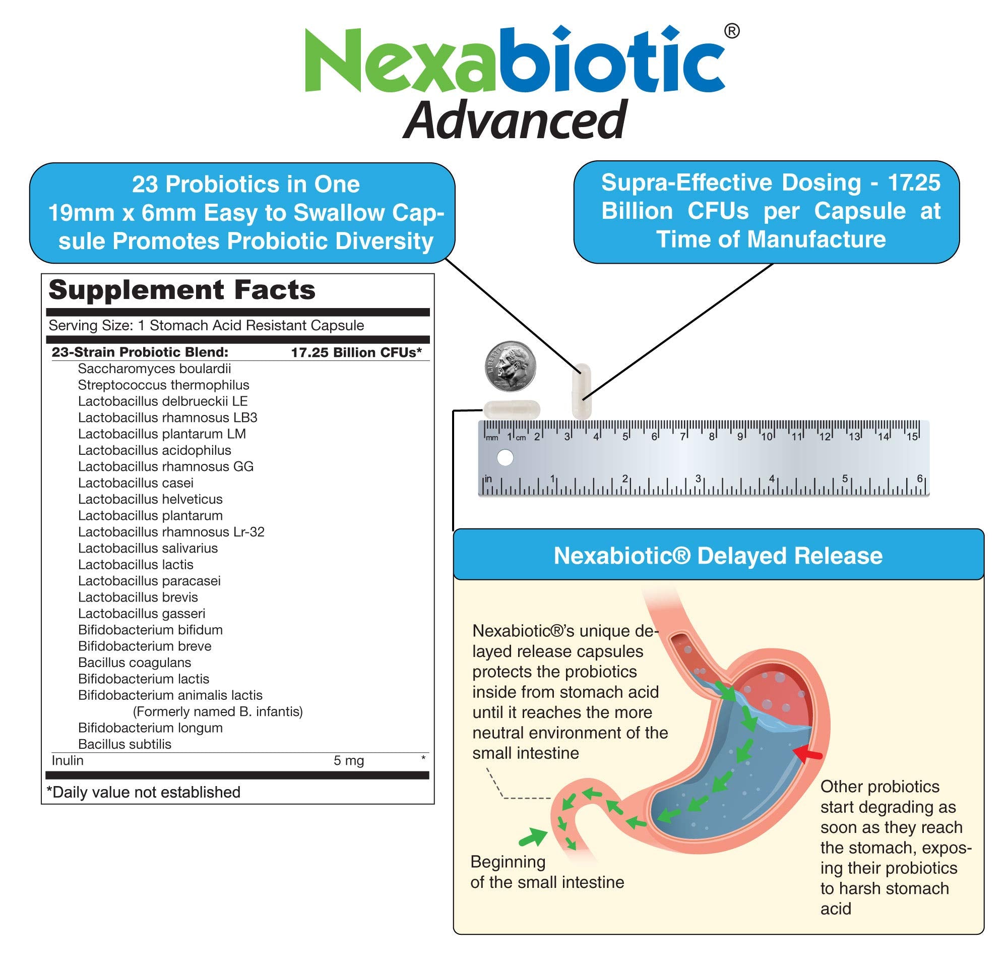 multi probiotic for immune system support