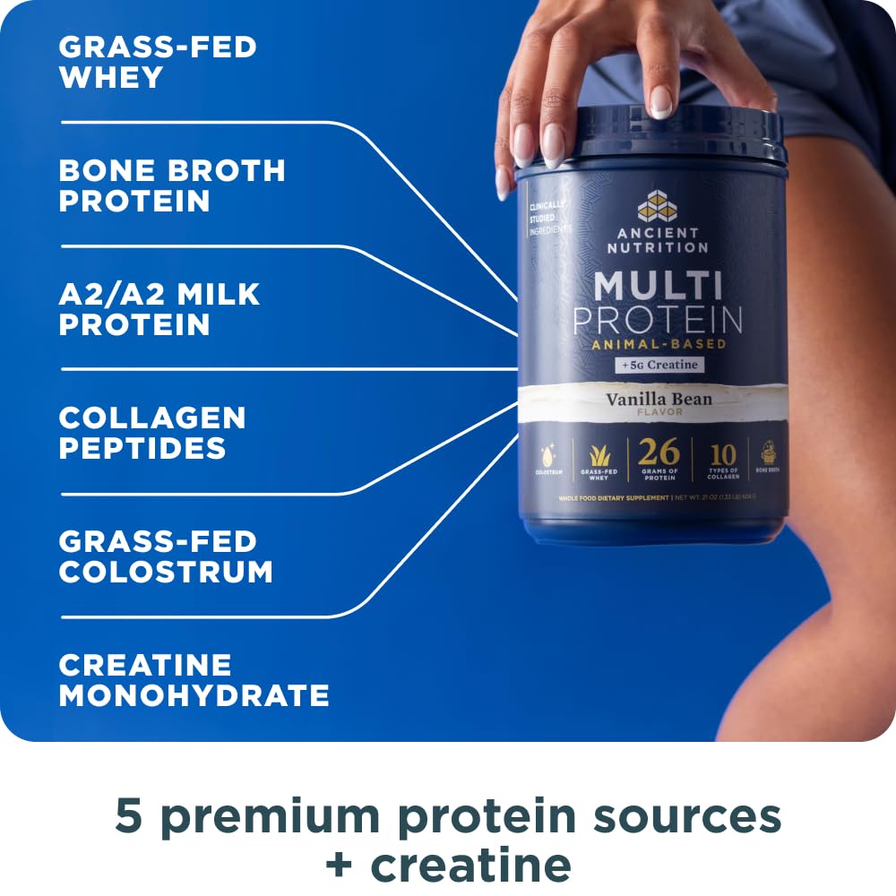 multi protein blend with creatine benefits