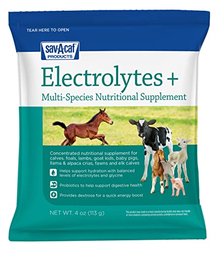 Multi-species zinc supplement benefits