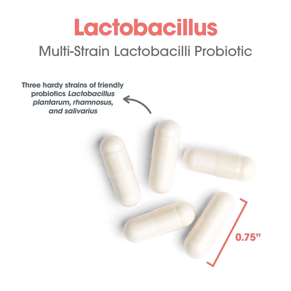 multi-strain probiotics for gut balance