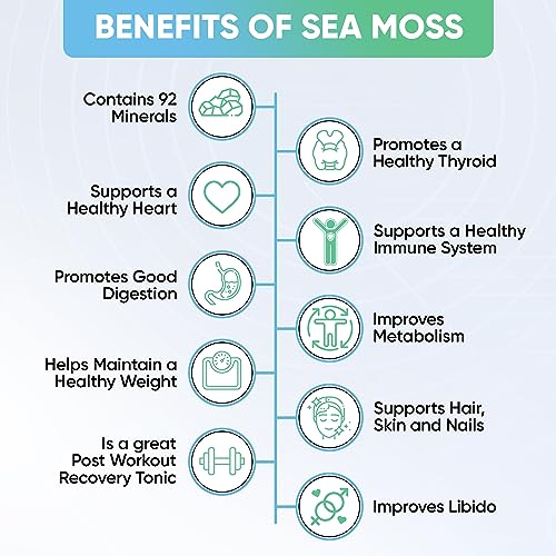 multiminerals for digestive health