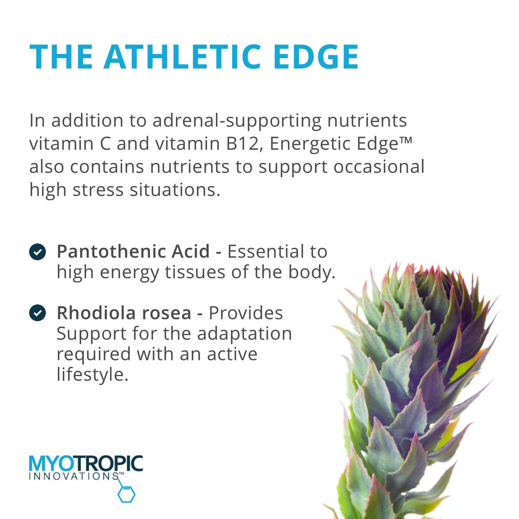 multiminerals to support workout recovery
