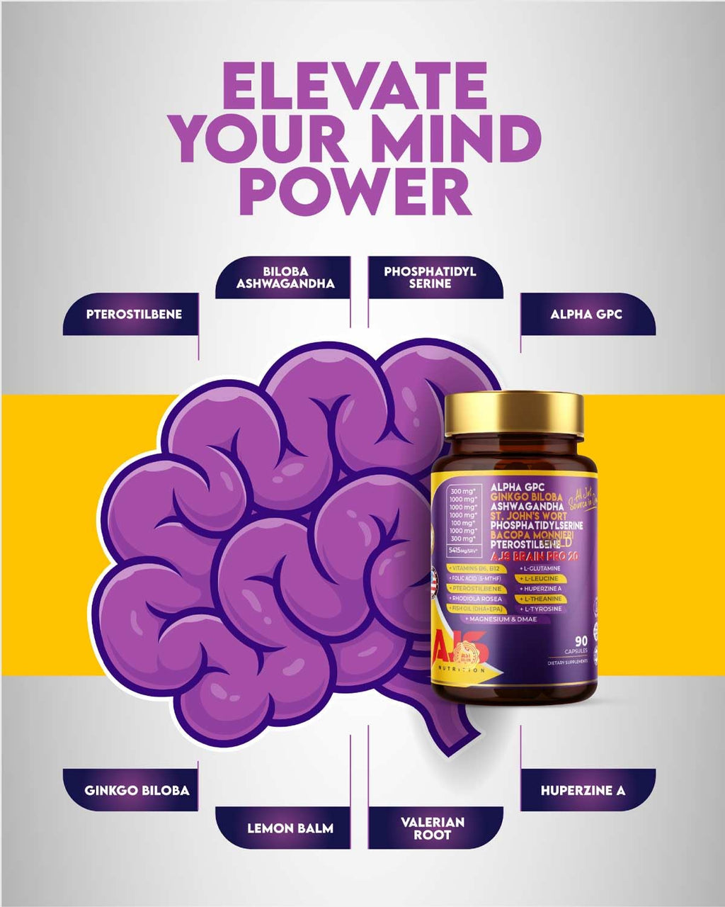multivitamin capsules for brain function
