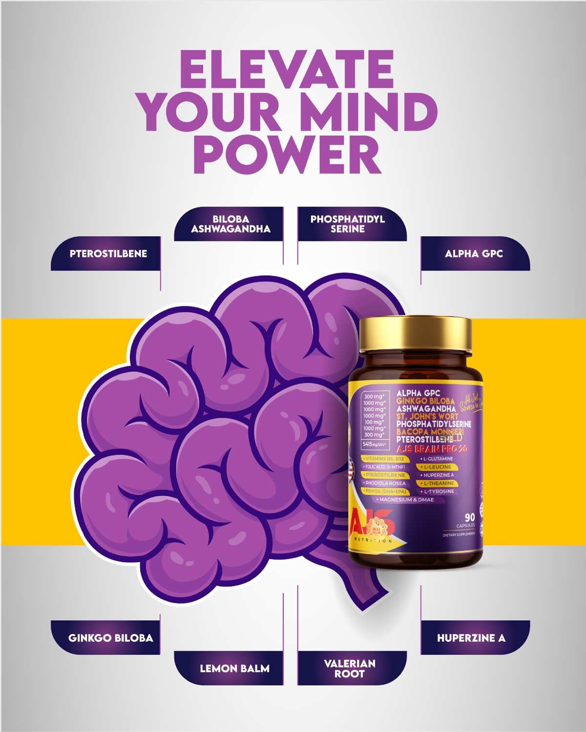 multivitamin capsules for brain function