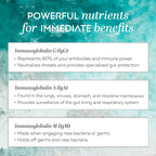 Multivitamin Capsules for Daily Wellness
