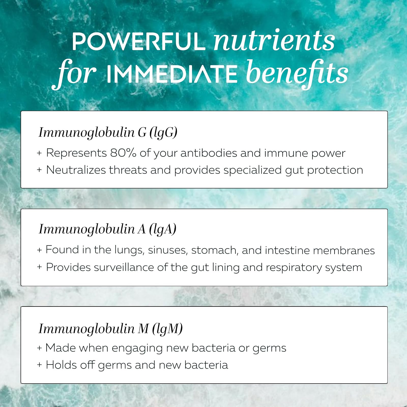 Multivitamin Capsules for Daily Wellness