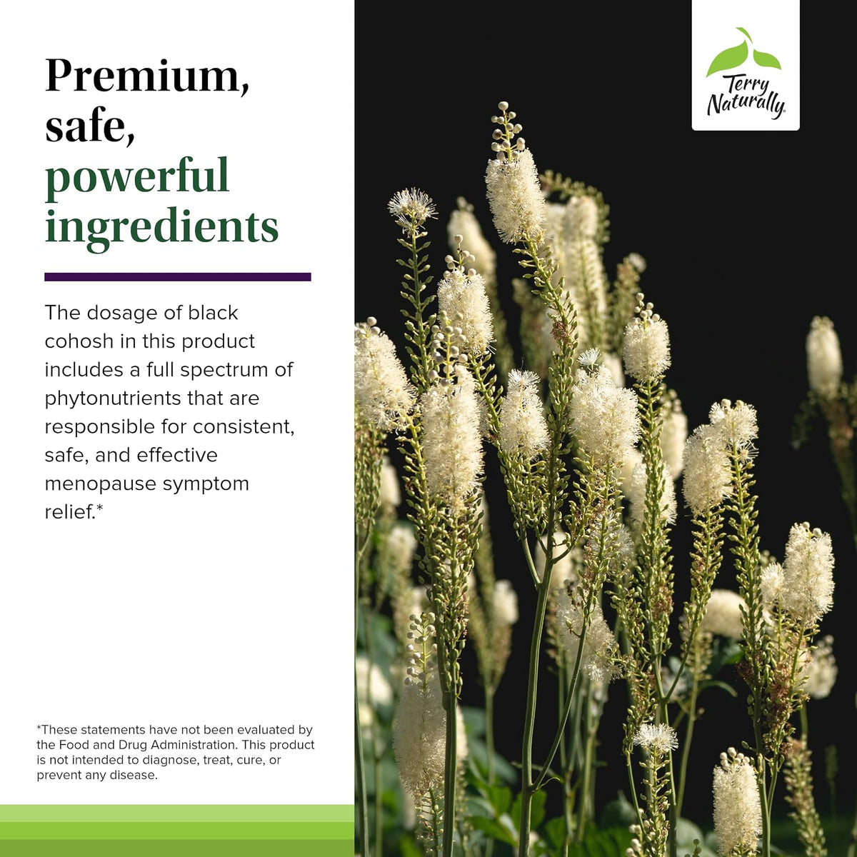 multivitamin capsules for hormonal balance