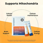 multivitamin for active lifestyles OxyEnergy