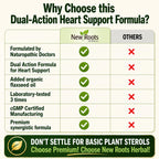 multivitamin for active lifestyles