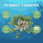multivitamin for active lifestyles