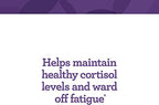 multivitamin for active lifestyles