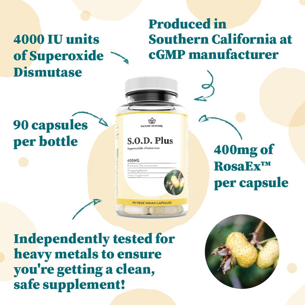 multivitamin for active lifestyles