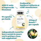 multivitamin for active lifestyles