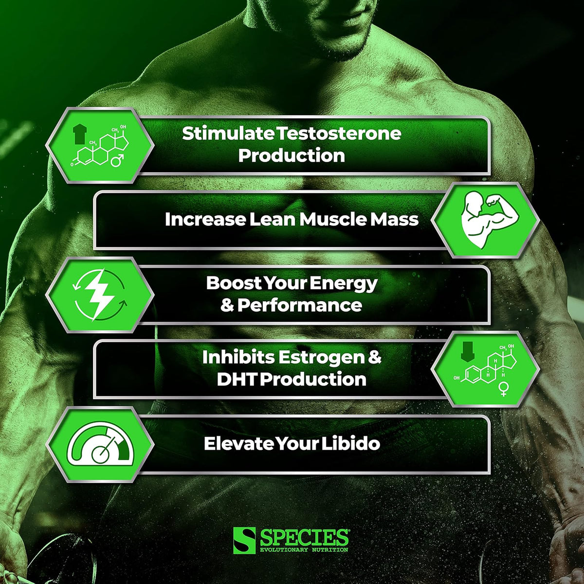 multivitamin for active lifestyles
