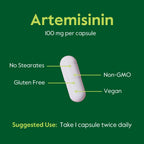 multivitamin for active lifestyles