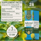 multivitamin for energy boost