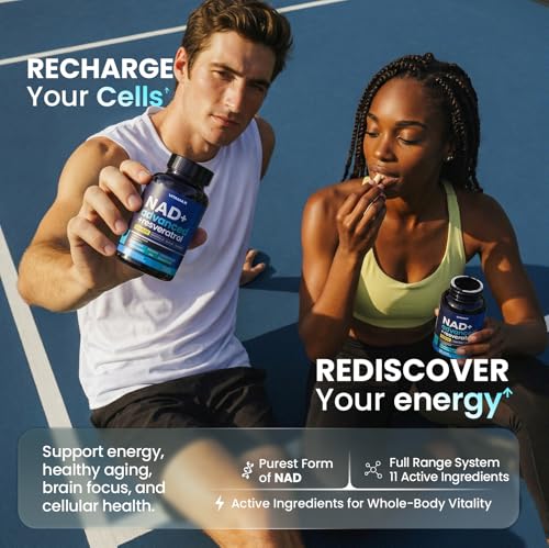 multivitamin for energy support
