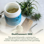 multivitamin for gut health support