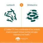 multivitamin for healthy immune function