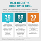 multivitamin for improved concentration