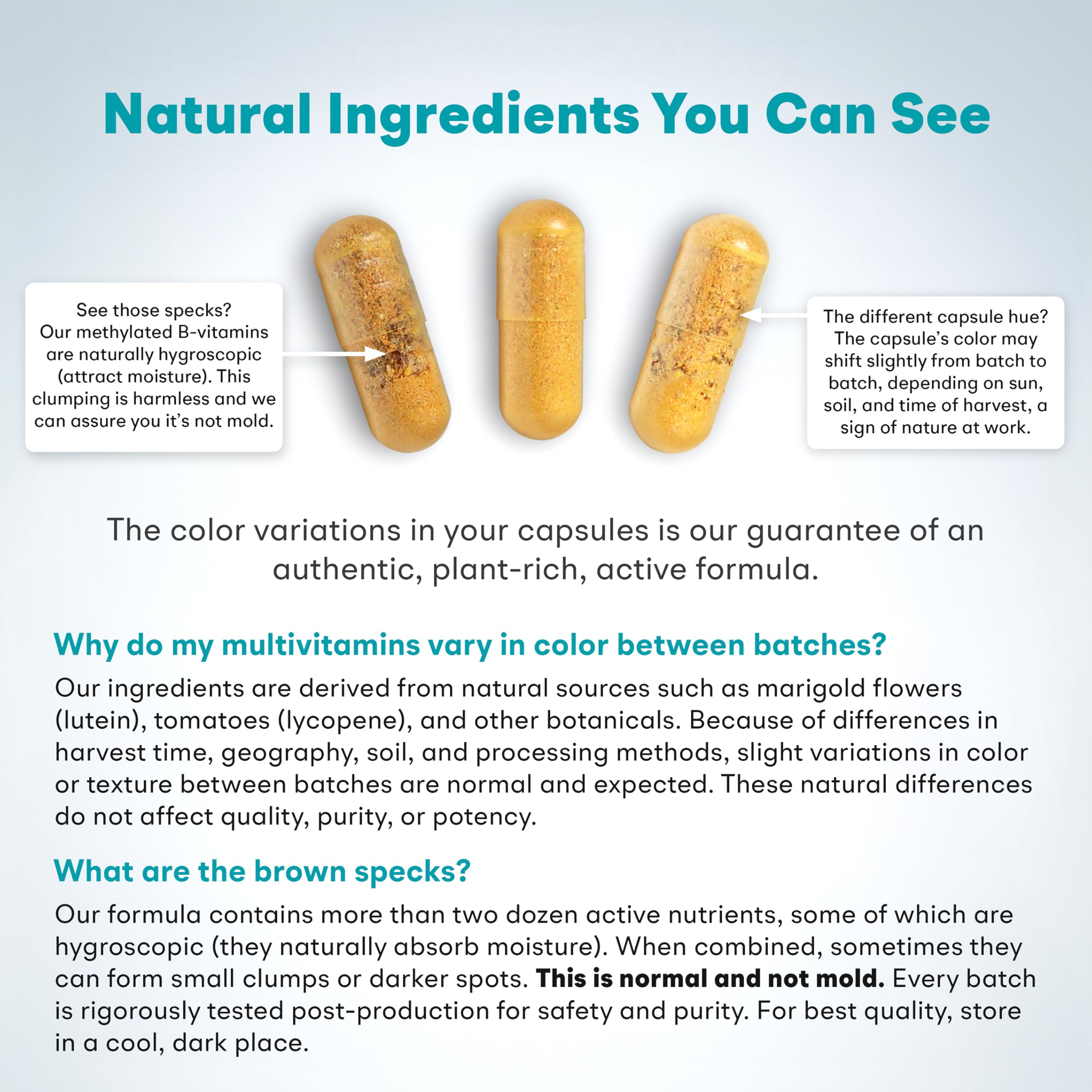 multivitamin for men and women