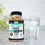 multivitamin for men and women