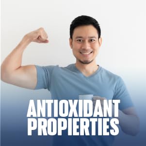 multivitamin for men daily support