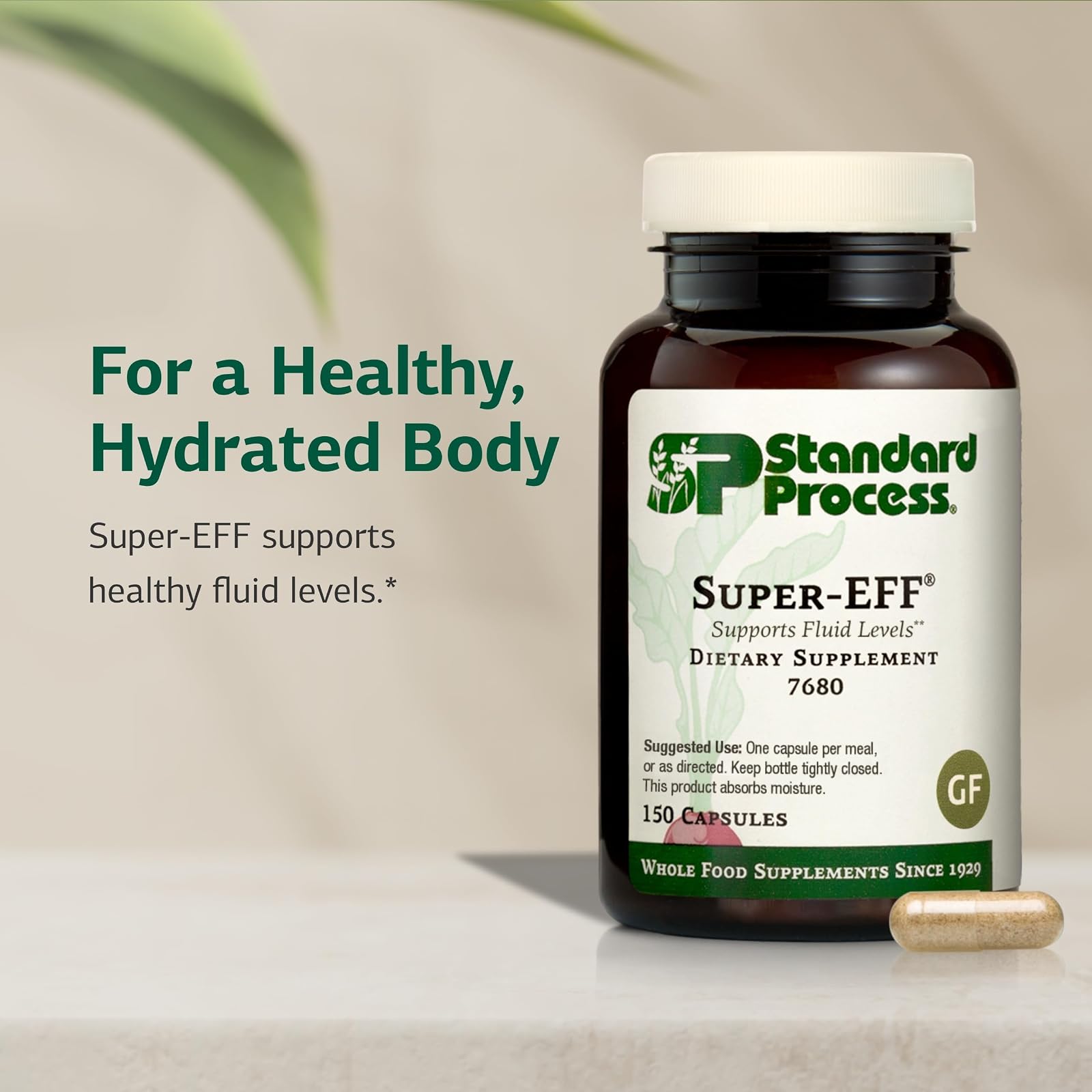 multivitamin for men daily support