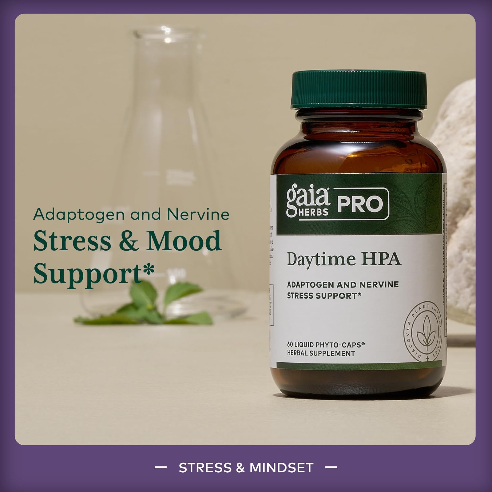 multivitamin for men daily wellness