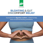 multivitamin for men digestive health