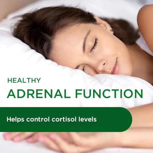 multivitamin for men energy boost