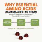 multivitamin for men energy boost