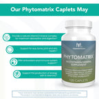 multivitamin for men energy support