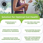 multivitamin for men gut support