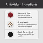 multivitamin for men immune boost