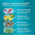multivitamin for men immune support