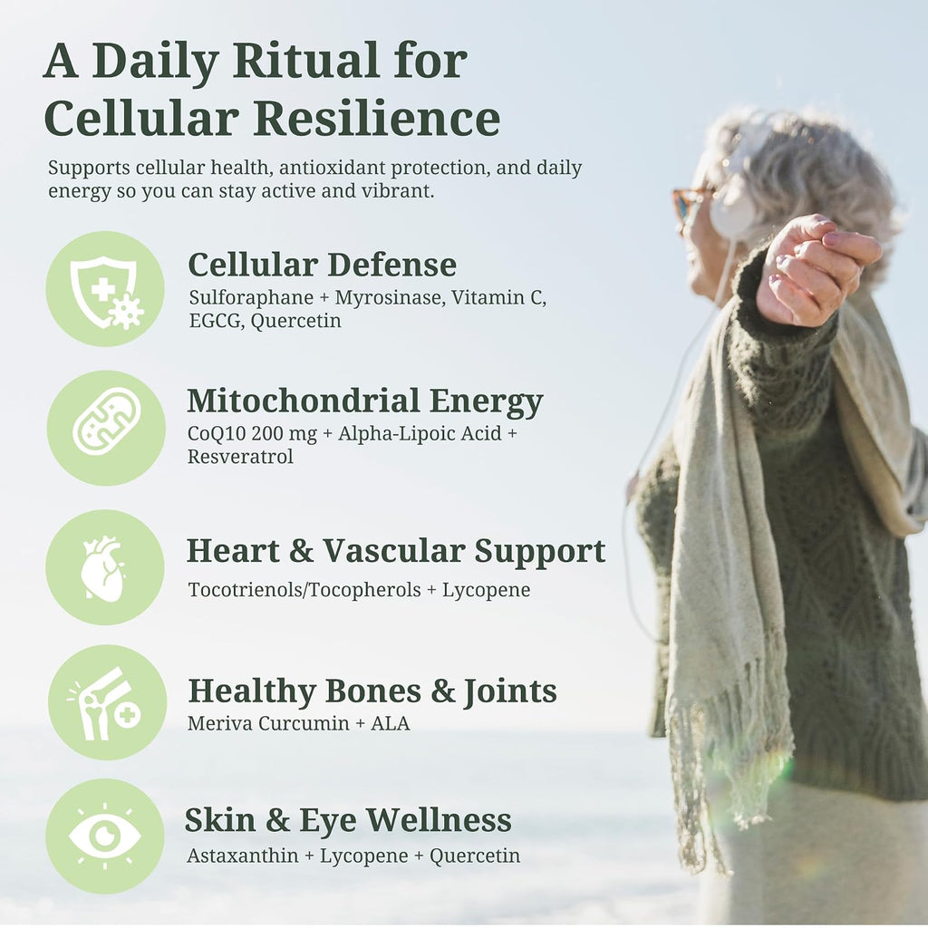 multivitamin for men immune support