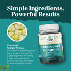 multivitamin for men in gummy form