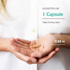 multivitamin for men promoting healthy cholesterol
