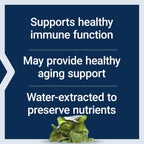 multivitamin for men promoting vitality