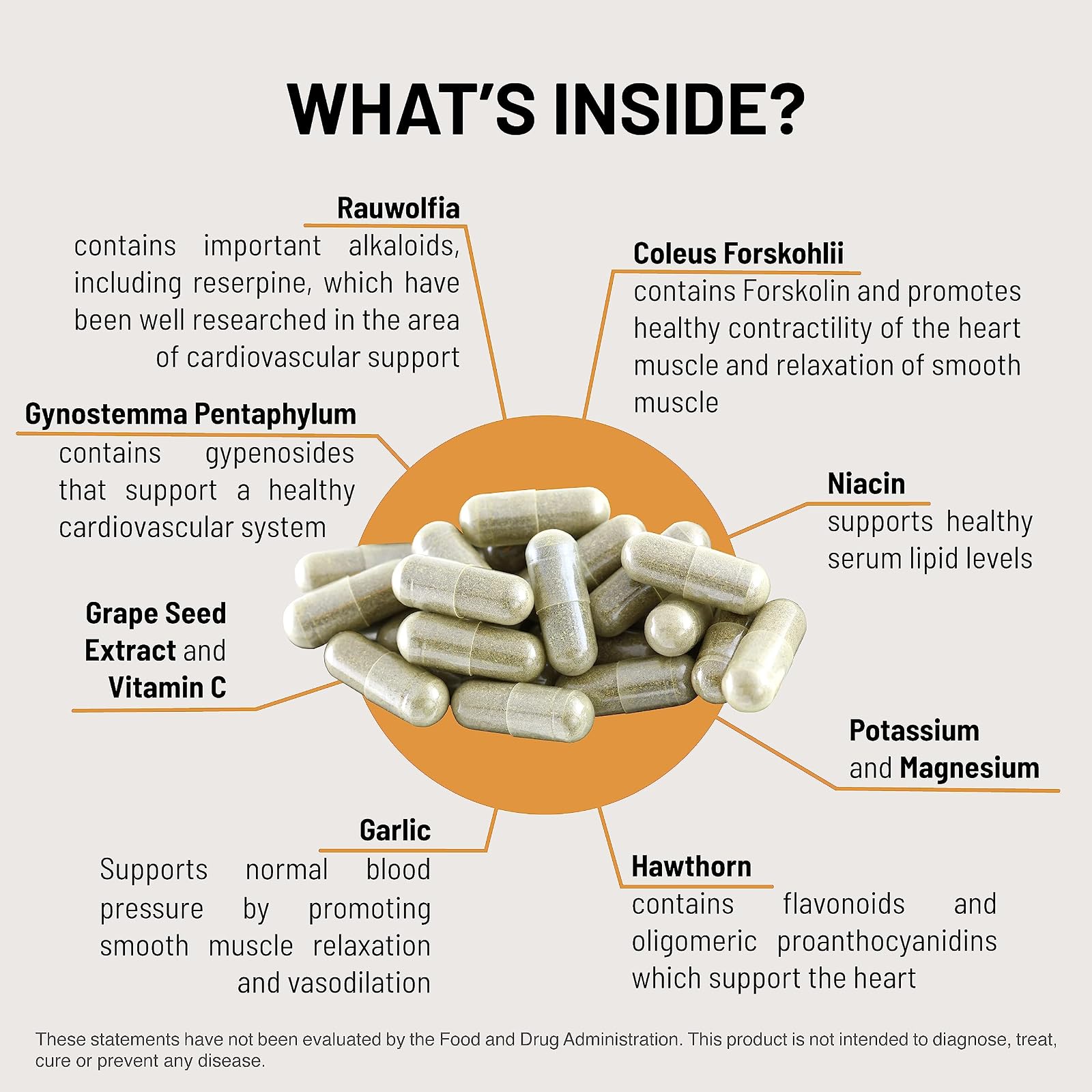 multivitamin for men promoting vitality