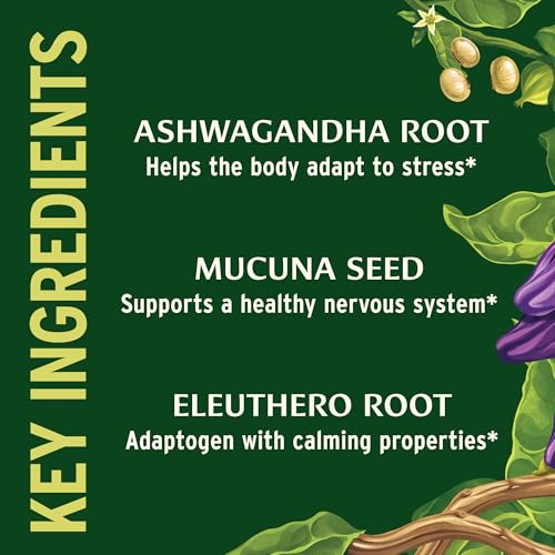 multivitamin for men promoting vitality