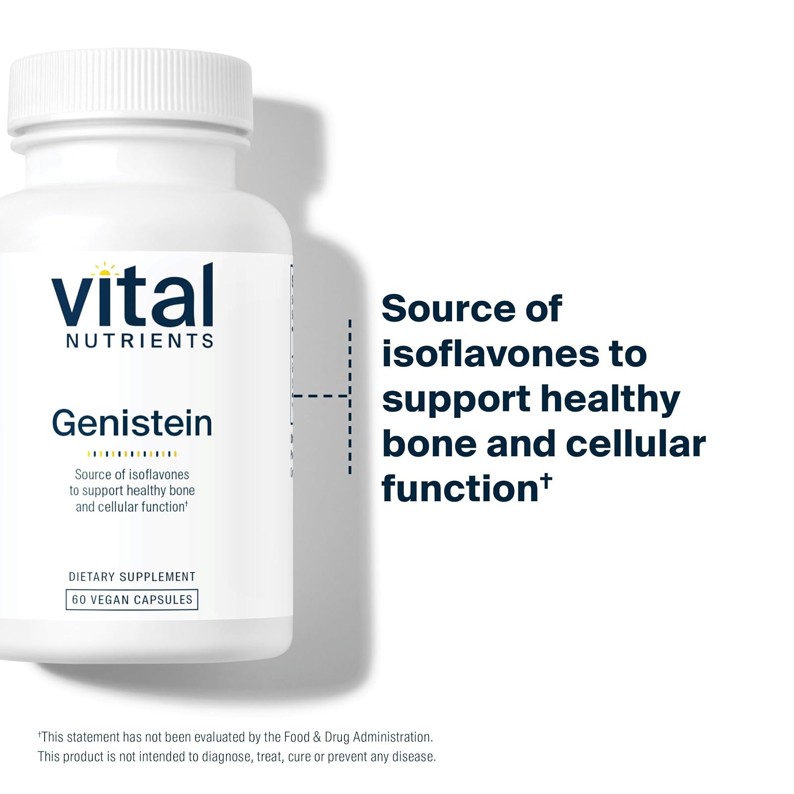 multivitamin for men’s daily nutrition