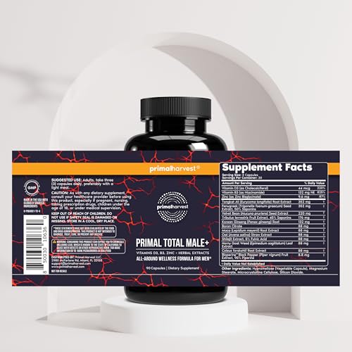 multivitamin for men's overall wellness