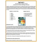 multivitamin for men’s wellness support