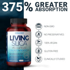 multivitamin for men's wellness