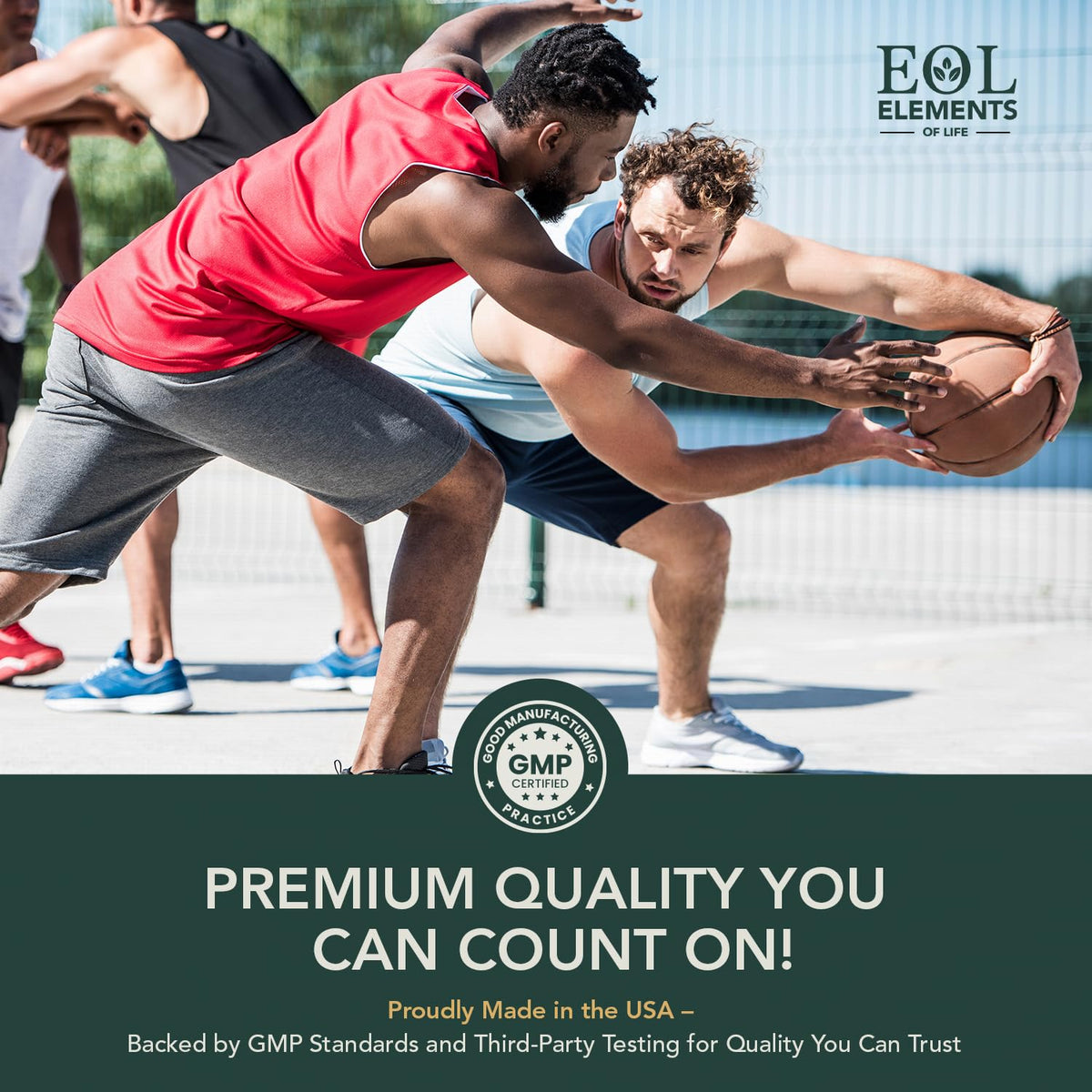 multivitamin for men's wellness